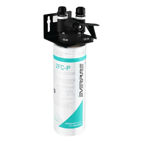 Everpure QL3B-2FCP Forever Chemicals Water Filter EV929800 | Efilters ...